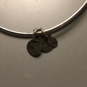 Alex and Ani | Jewelry | Alex And Ani Silver Bamboo Adjustable Bangle ...